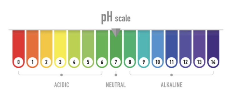 Can you drink soda with braces? | Just for Grins Orthodontics